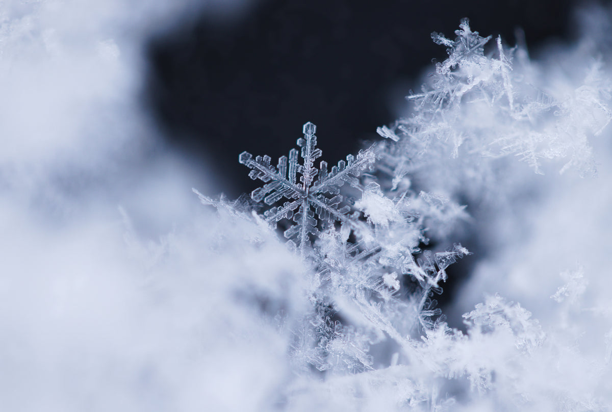 Appointment – Snowflake Ski Shop